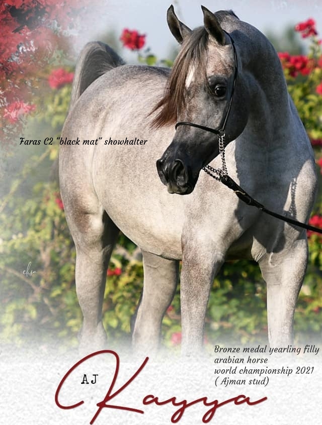 sellerie faras store